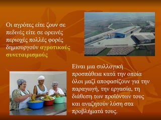 η ζωή στα βουνά και στις πεδιάδες | PPT