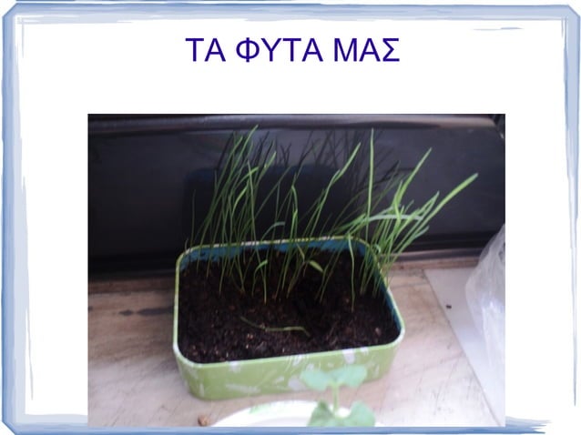 τα φυτα μας | PPS