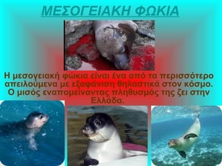 ΖΩΑ ΠΡΟΣ ΕΞΑΦΑΝΙΣΗ | PPT