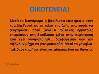 μελισσα!! | PPTX