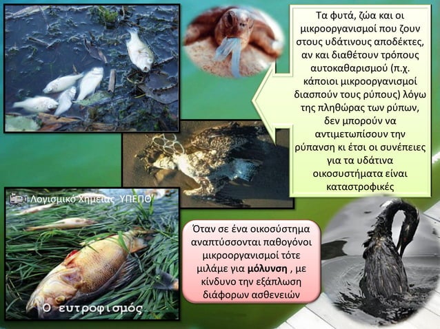 ρύπανση του νερού | PDF