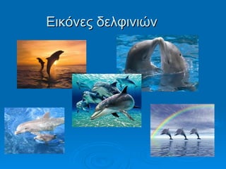 ΔΕΛΦΙΝΙΑ | PPT