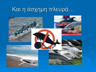 ΔΕΛΦΙΝΙΑ | PPT