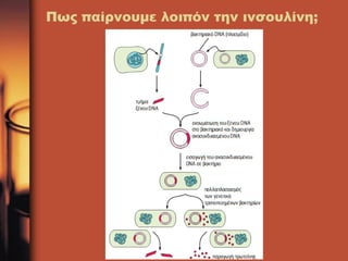 Γενετικη μηχανικη και βιοτεχνολογια | PPT