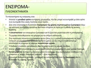Κτηνοτροφικά φυτά | PPT