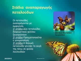 πεταλουδες | PPTX