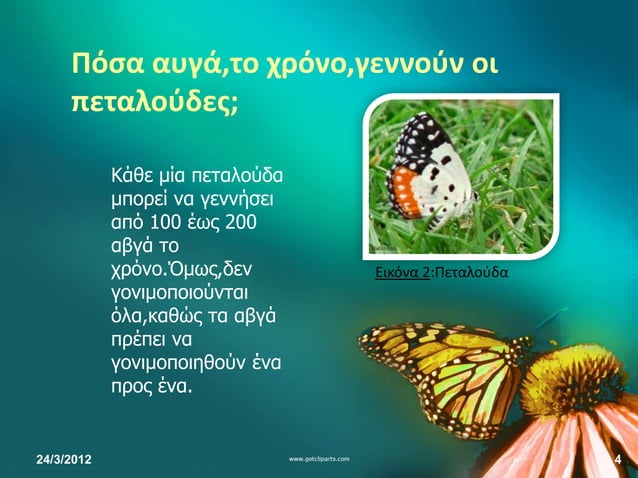 πεταλουδες | PPTX