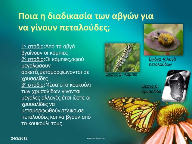 πεταλουδες | PPTX