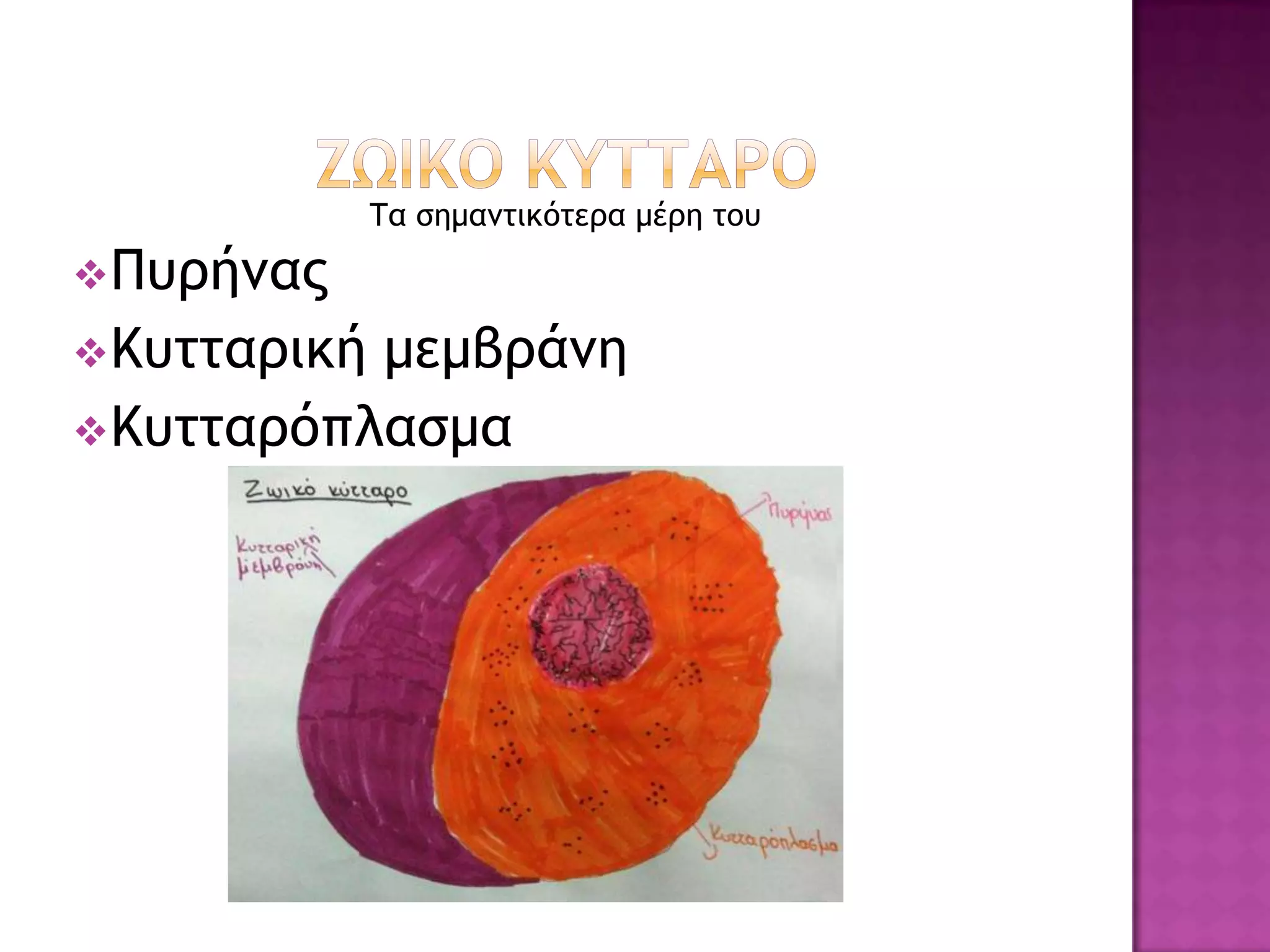 η δομη του κυτταρου δημήτρης και χρήστος | PPTX