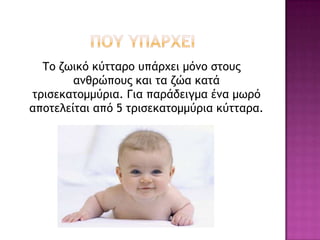 η δομη του κυτταρου δημήτρης και χρήστος | PPTX
