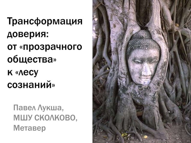 Transformation of trust: from 'communities of trust' to 'forests of ...