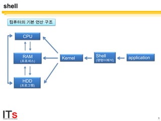 shell and process | PPT