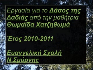 το δασος της δαδιας | ODP