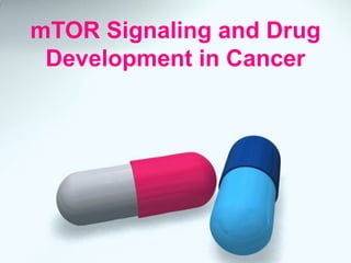 mTOR inhibitor in cancer | PPT