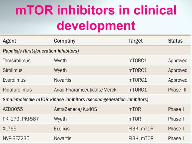 mTOR inhibitor in cancer | PPT