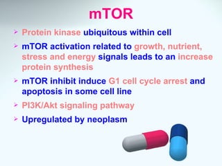 mTOR inhibitor in cancer | PPT