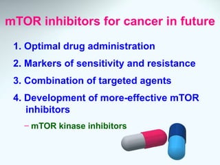 mTOR inhibitor in cancer | PPT