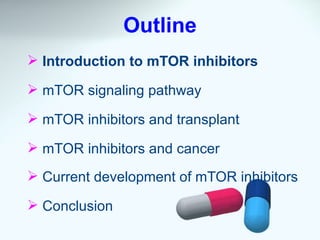 mTOR inhibitor in cancer | PPT