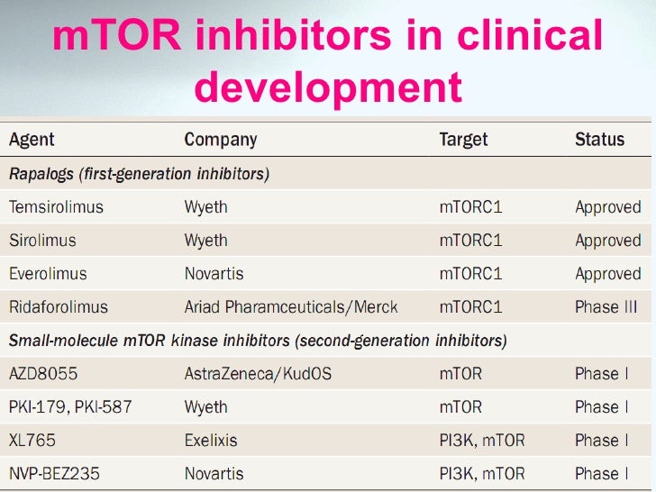 mTOR inhibitor in cancer
