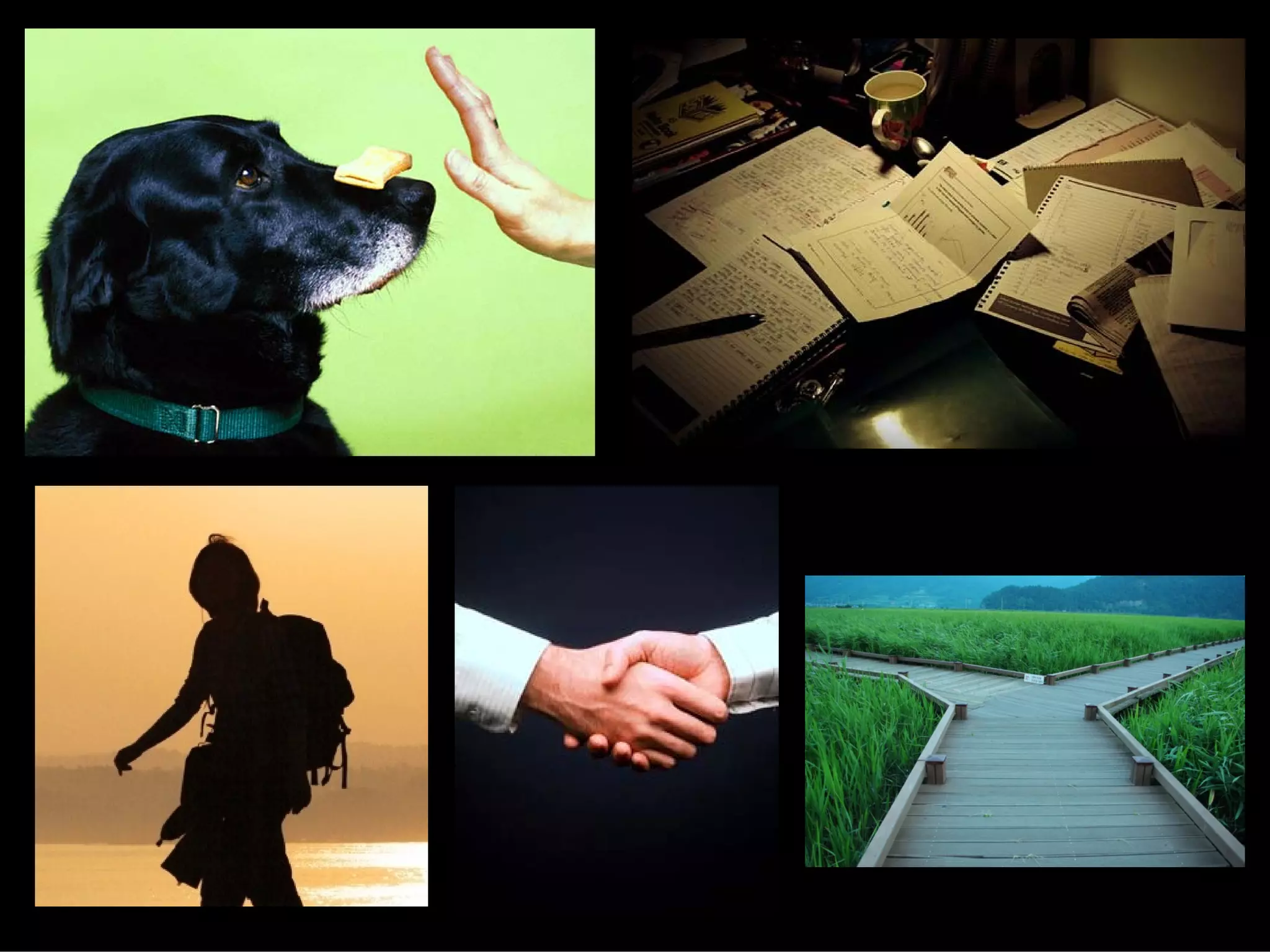 what is courage? | PDF