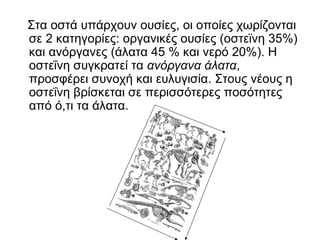 Οι παθήσεις των οστών | PPT