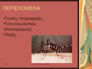 Η Αναπαραγωγή στο Κουνούπι | PPT
