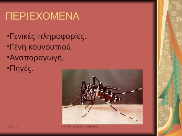 Η Αναπαραγωγή στο Κουνούπι | PPT