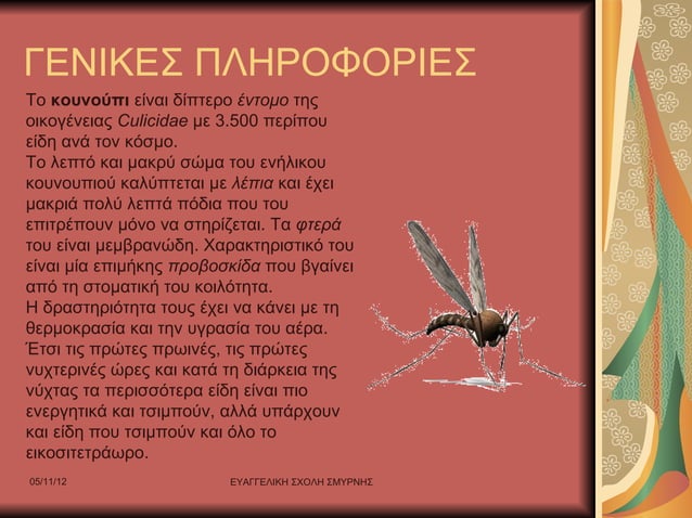 Η Αναπαραγωγή στο Κουνούπι | PPT