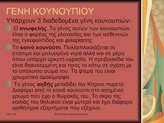 Η Αναπαραγωγή στο Κουνούπι | PPT