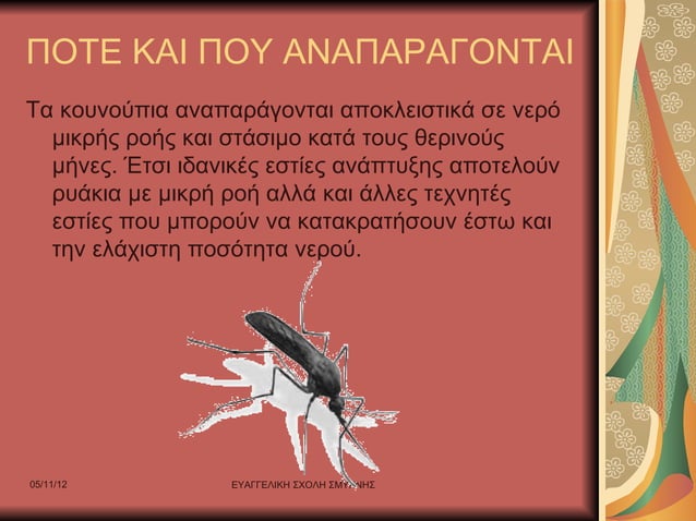 Η Αναπαραγωγή στο Κουνούπι | PPT