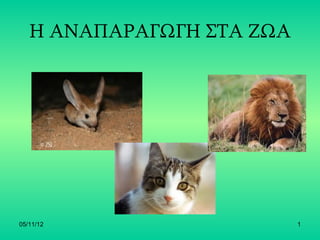 Η Αναπαραγωγή στα Ζώα | PPT