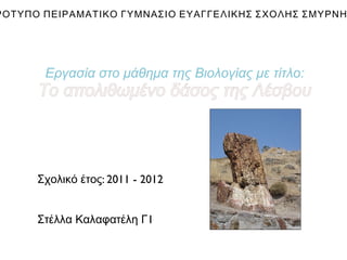 απολιθωμένο δάσος μυτιλήνης | PPT