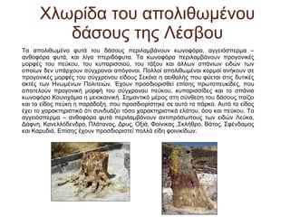 απολιθωμένο δάσος μυτιλήνης | PPT