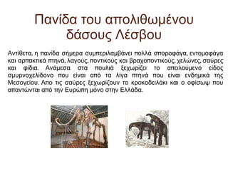 απολιθωμένο δάσος μυτιλήνης | PPT