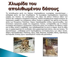 απολιθωμενο δασοσ | PPT