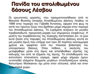 απολιθωμενο δασοσ | PPT