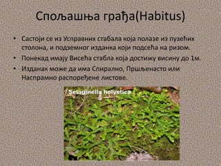 пречице | PPTX