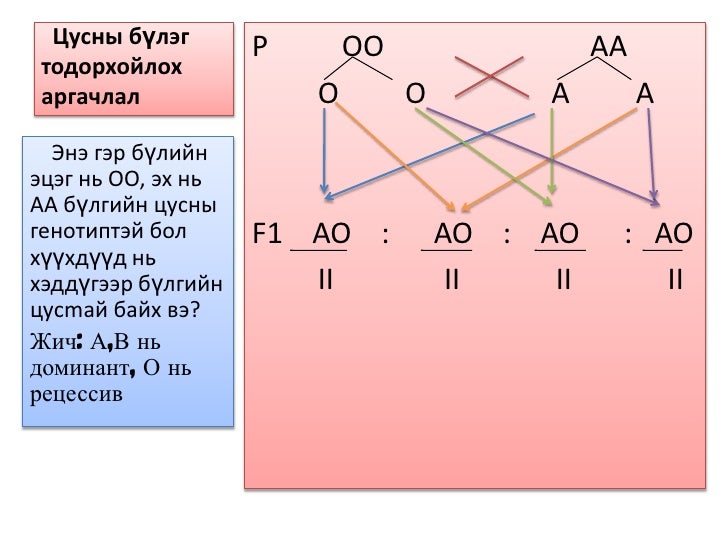 хүний цусны бүлэг удамших