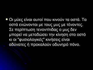 ΤΕΝΟΝΤΙΤΙΔΕΣ | PPT