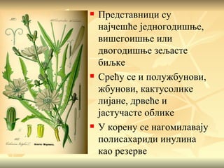 главочике | PPT