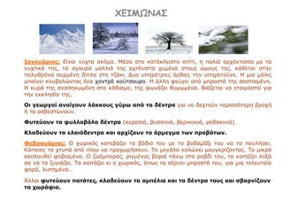 ομαδα δ εικονεσ και γεωργικεσ ερασιεσ ανα μηνα | PDF