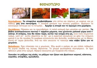 ομαδα δ εικονεσ και γεωργικεσ ερασιεσ ανα μηνα | PDF