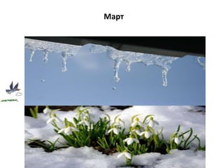 Four seasons in Russia | PPTX