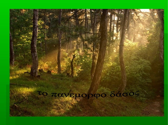 ΤΟ ΔΑΣΟΣ ΤΗΣ ΔΑΔΙΑΣ | PPT