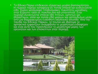 ΤΟ ΔΑΣΟΣ ΤΗΣ ΔΑΔΙΑΣ | PPT