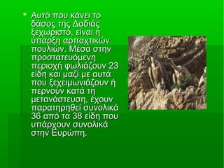 ΤΟ ΔΑΣΟΣ ΤΗΣ ΔΑΔΙΑΣ | PPT