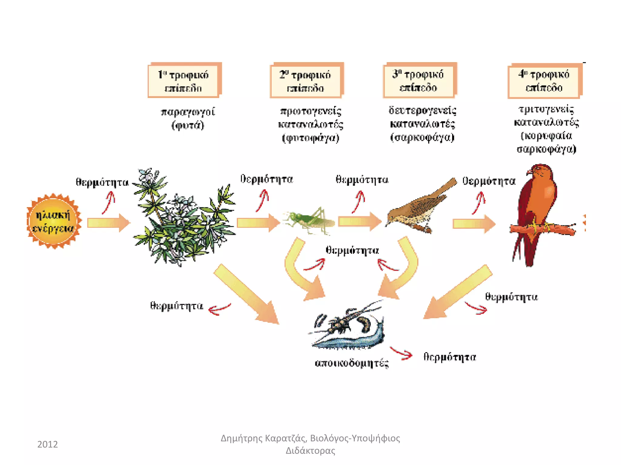 Μάθημα: Βιολογία. Γ' Γυμνασίου-Σημειώσεις σχολικού βιβλίου | PPT