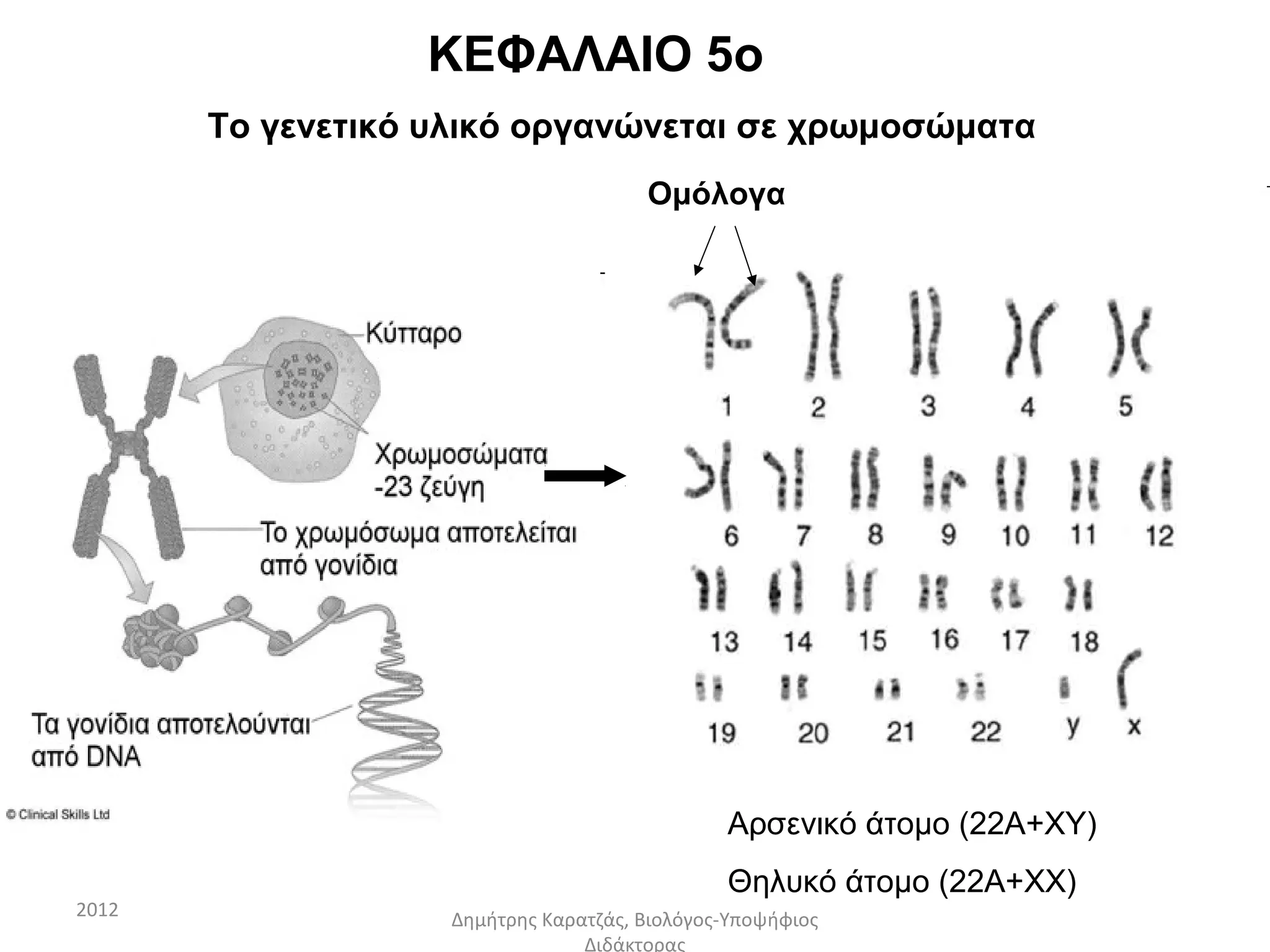 Μάθημα: Βιολογία. Γ' Γυμνασίου-Σημειώσεις σχολικού βιβλίου | PPT