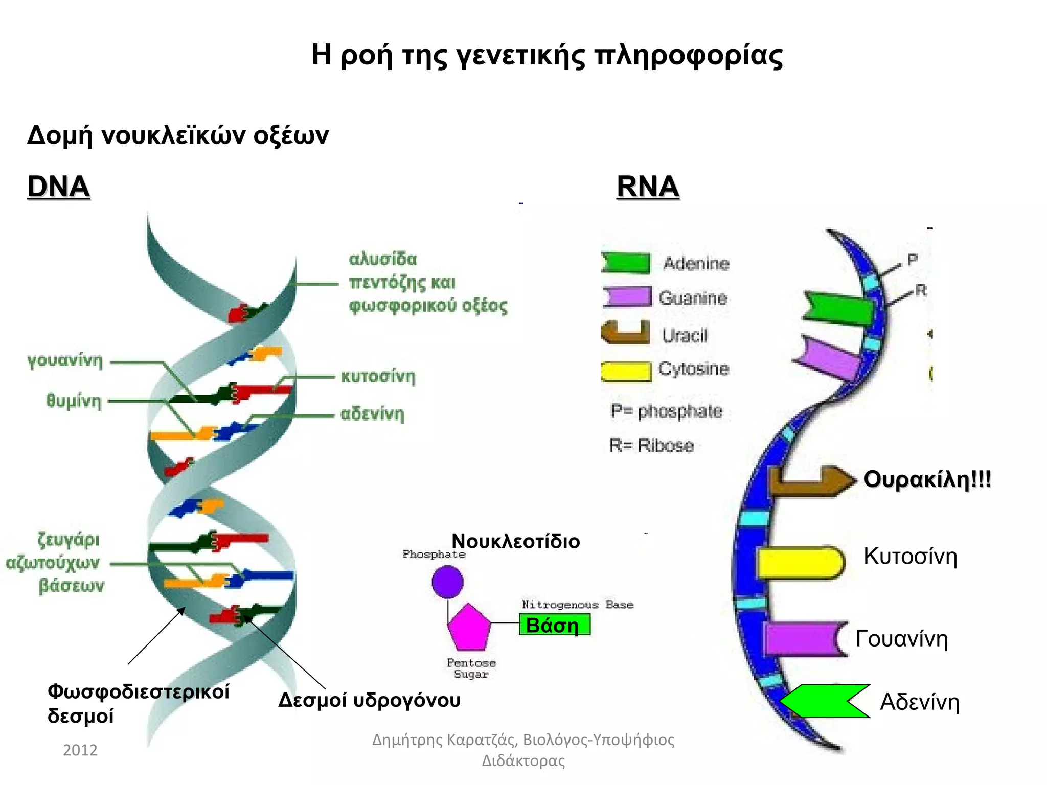 Μάθημα: Βιολογία. Γ' Γυμνασίου-Σημειώσεις σχολικού βιβλίου | PPT