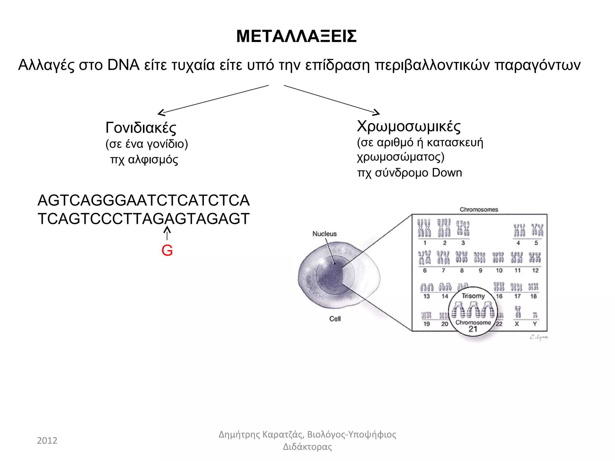 Μάθημα: Βιολογία. Γ' Γυμνασίου-Σημειώσεις σχολικού βιβλίου | PPT